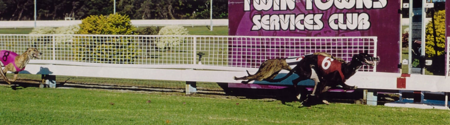 Princess Kerry – History of Greyhound Racing in Australia