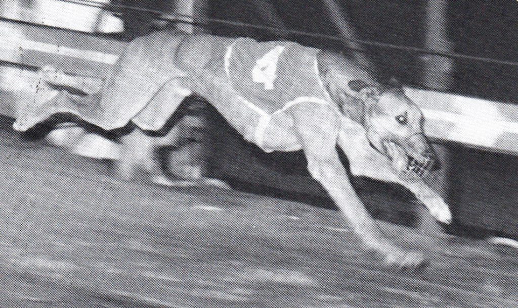 Terry Adamson & Gay Apache