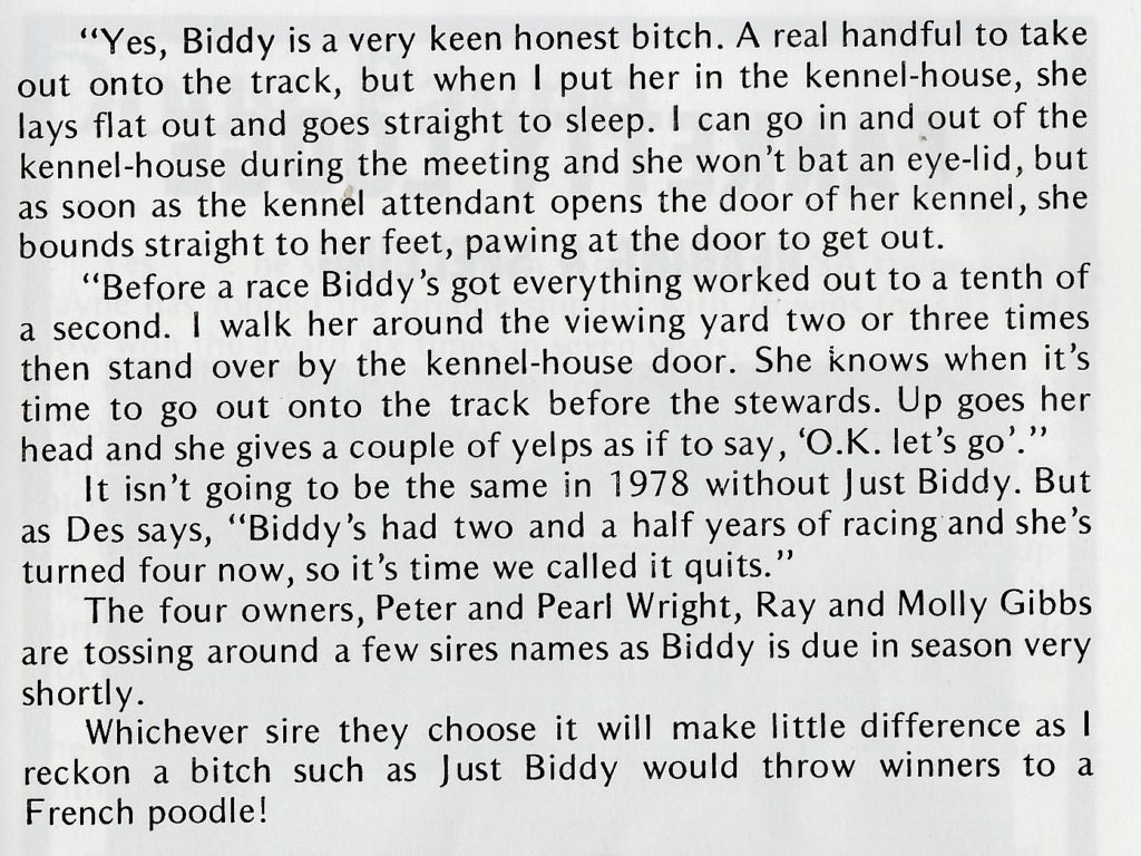 Just Biddy