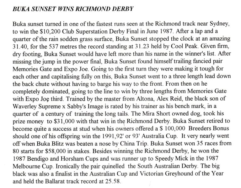 Buka Sunset Stud Promo
